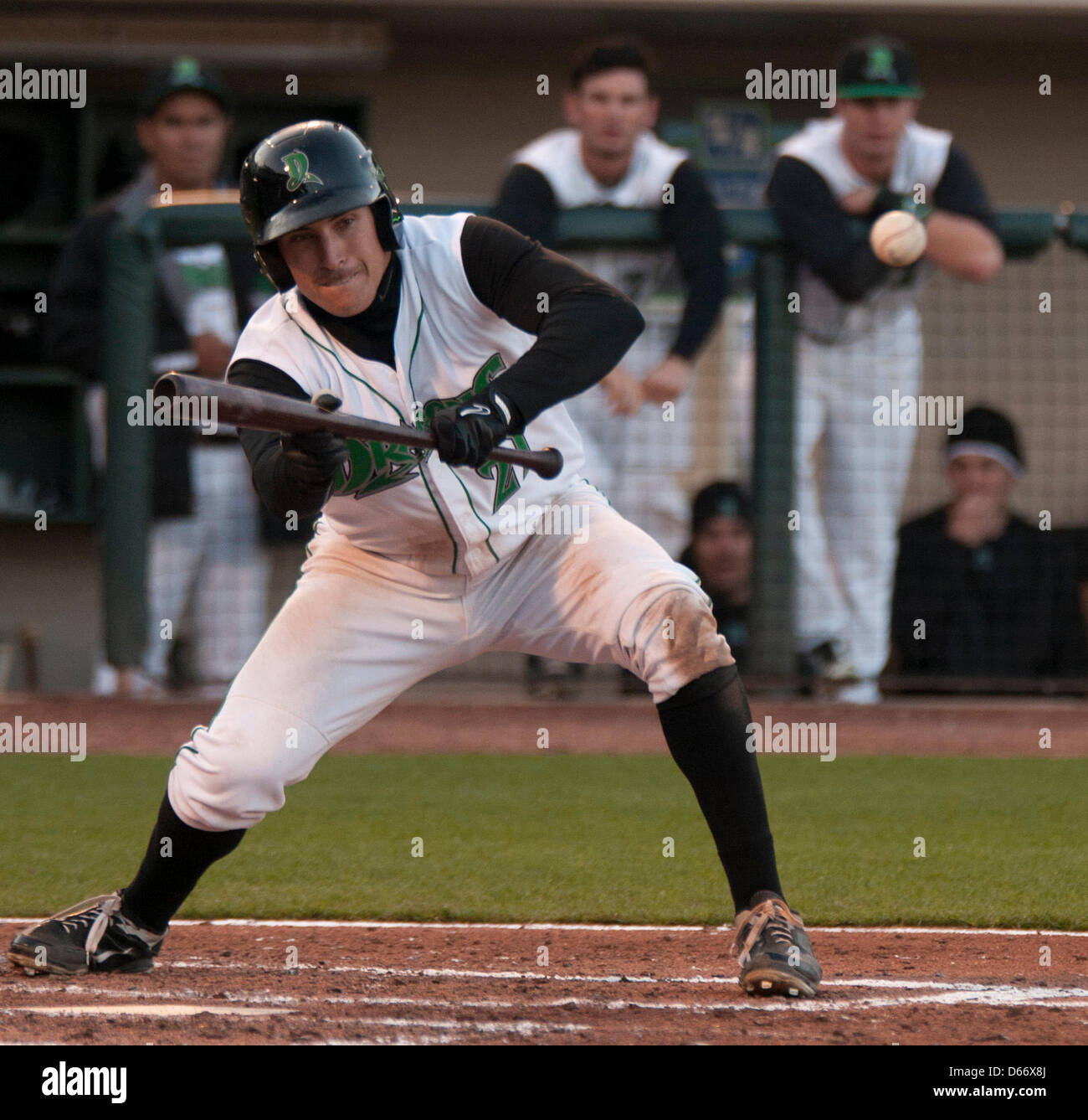 Dragons de dayton Banque de photographies et d’images à haute ...