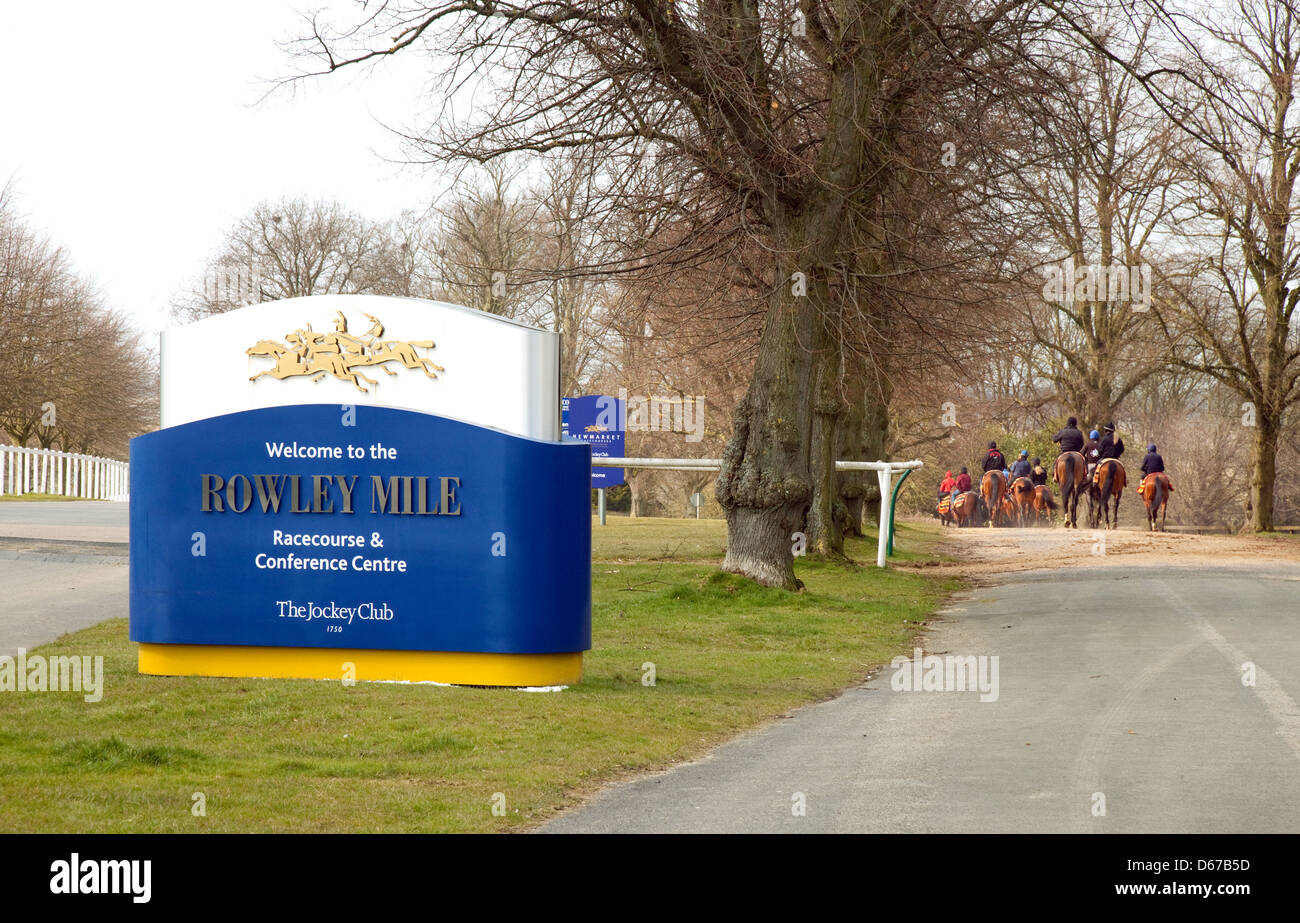 Newmarket l'hippodrome de rowley mile Banque de photographies et d ...