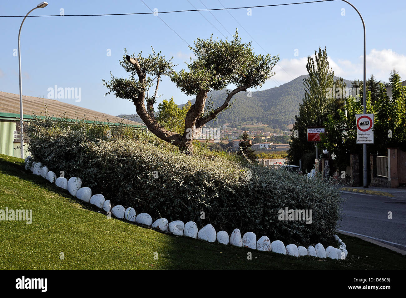 Rond point avec des arbres Banque de photographies et d’images à haute ...