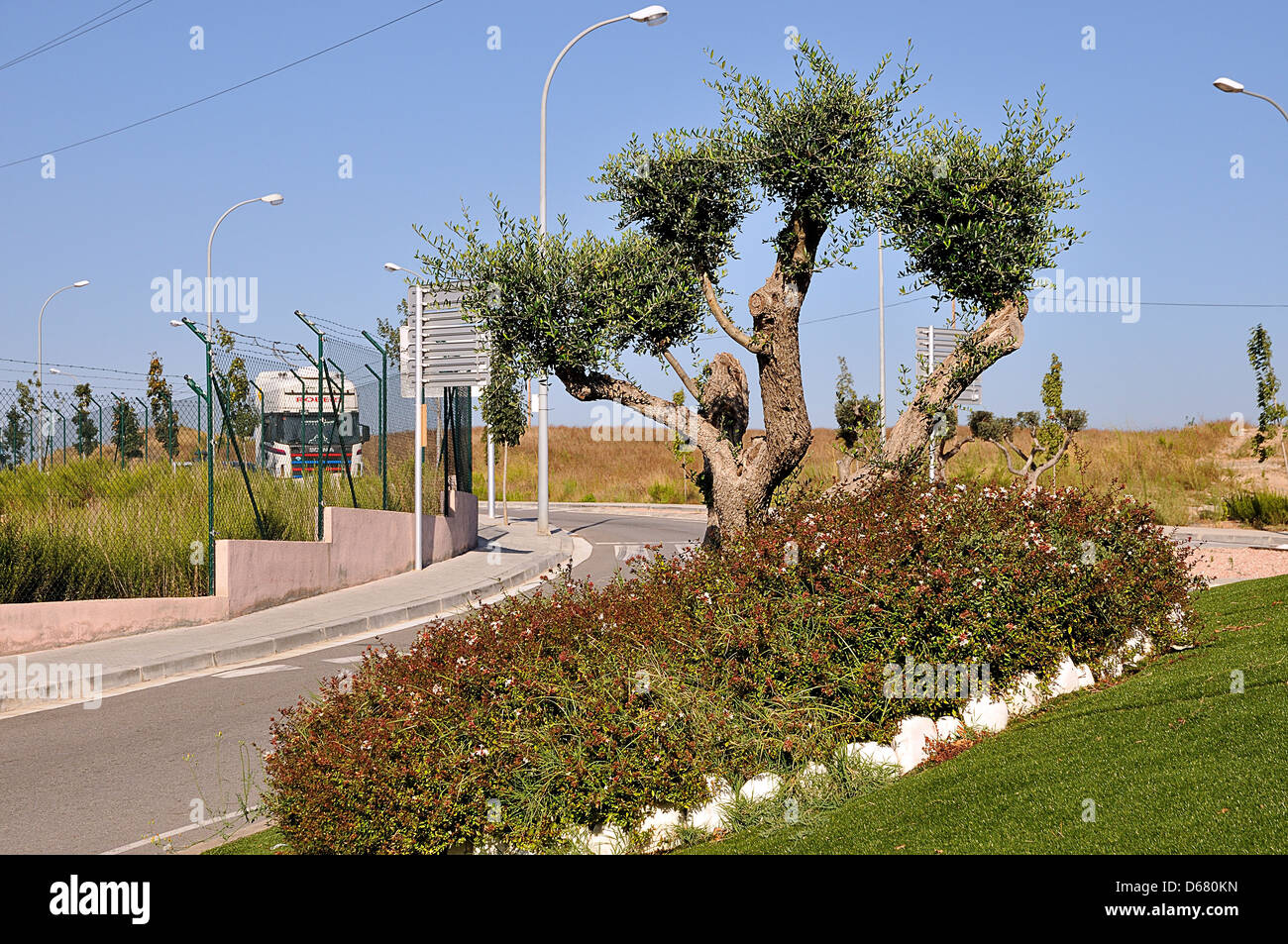 Rond point avec des arbres Banque de photographies et d’images à haute ...
