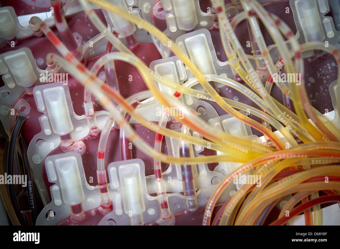 Des sacs remplis de concentré de globules rouges s'asseoir dans le ...