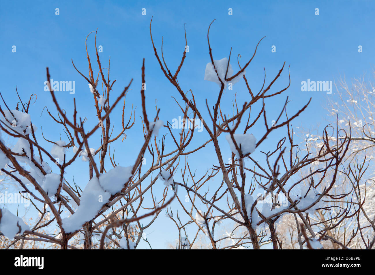 Milieux de la saison froide Banque de photographies et d’images à haute ...