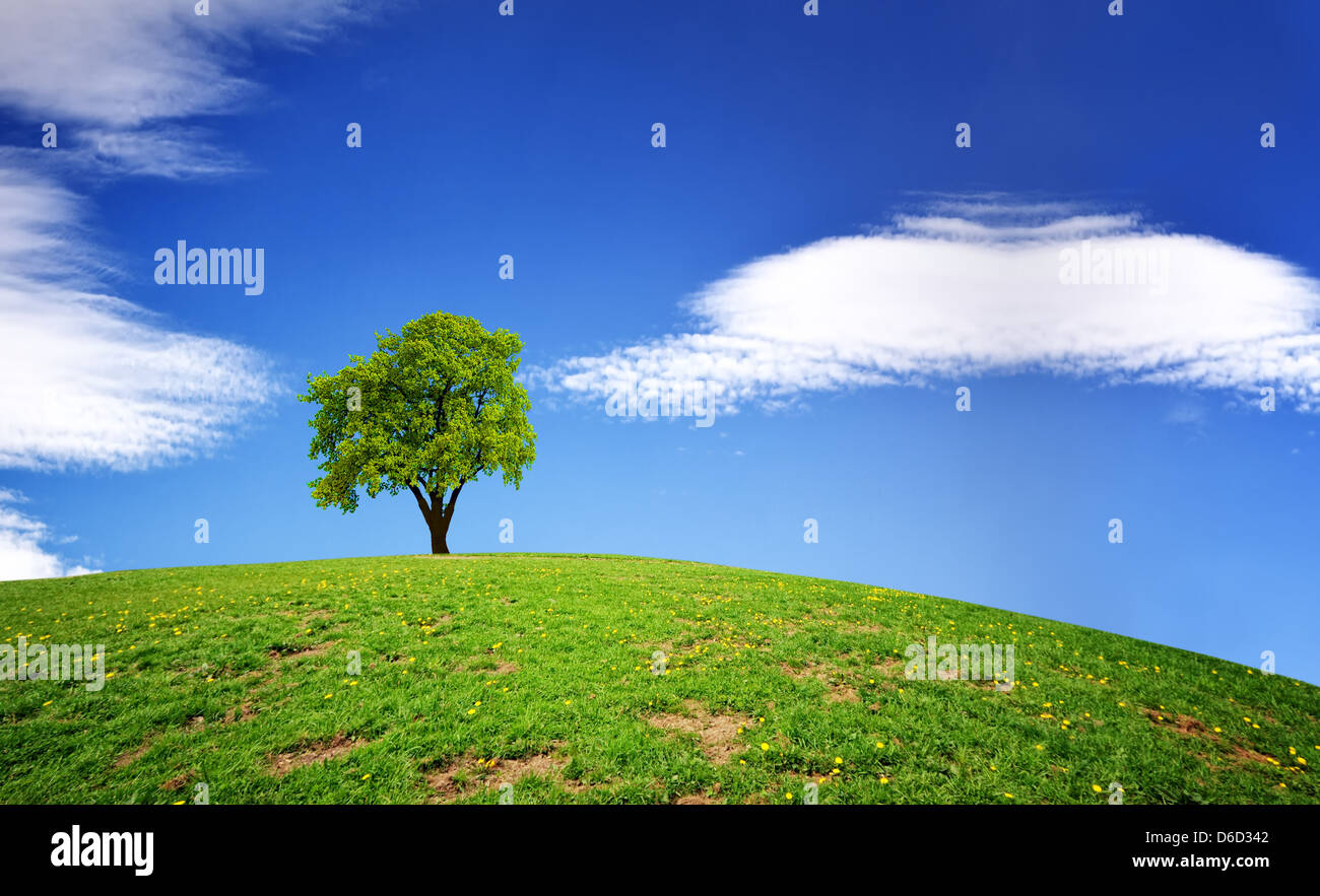 La planète verte Banque de photographies et d’images à haute résolution ...