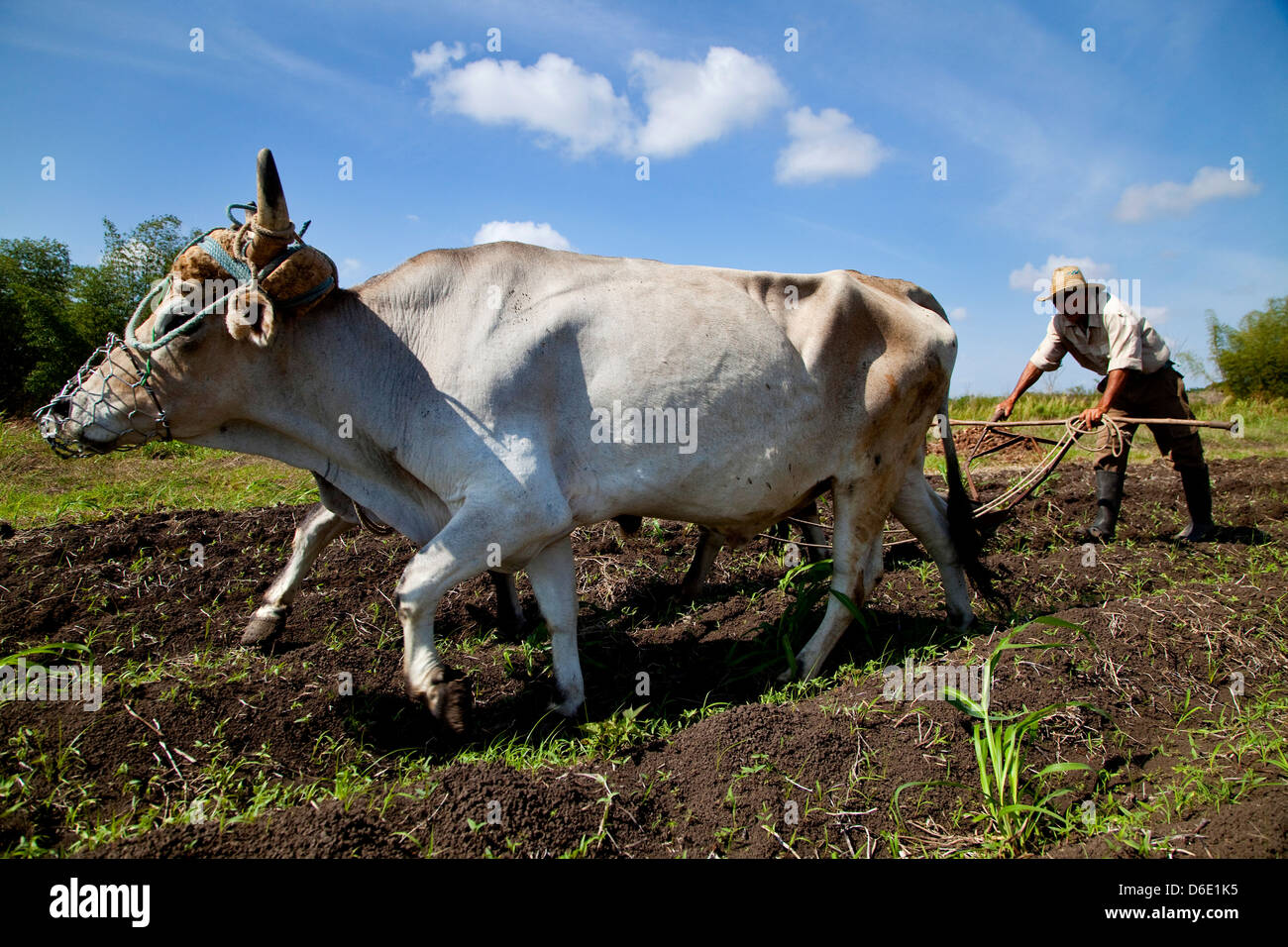 Paysan champ Banque de photographies et d’images à haute résolution - Alamy