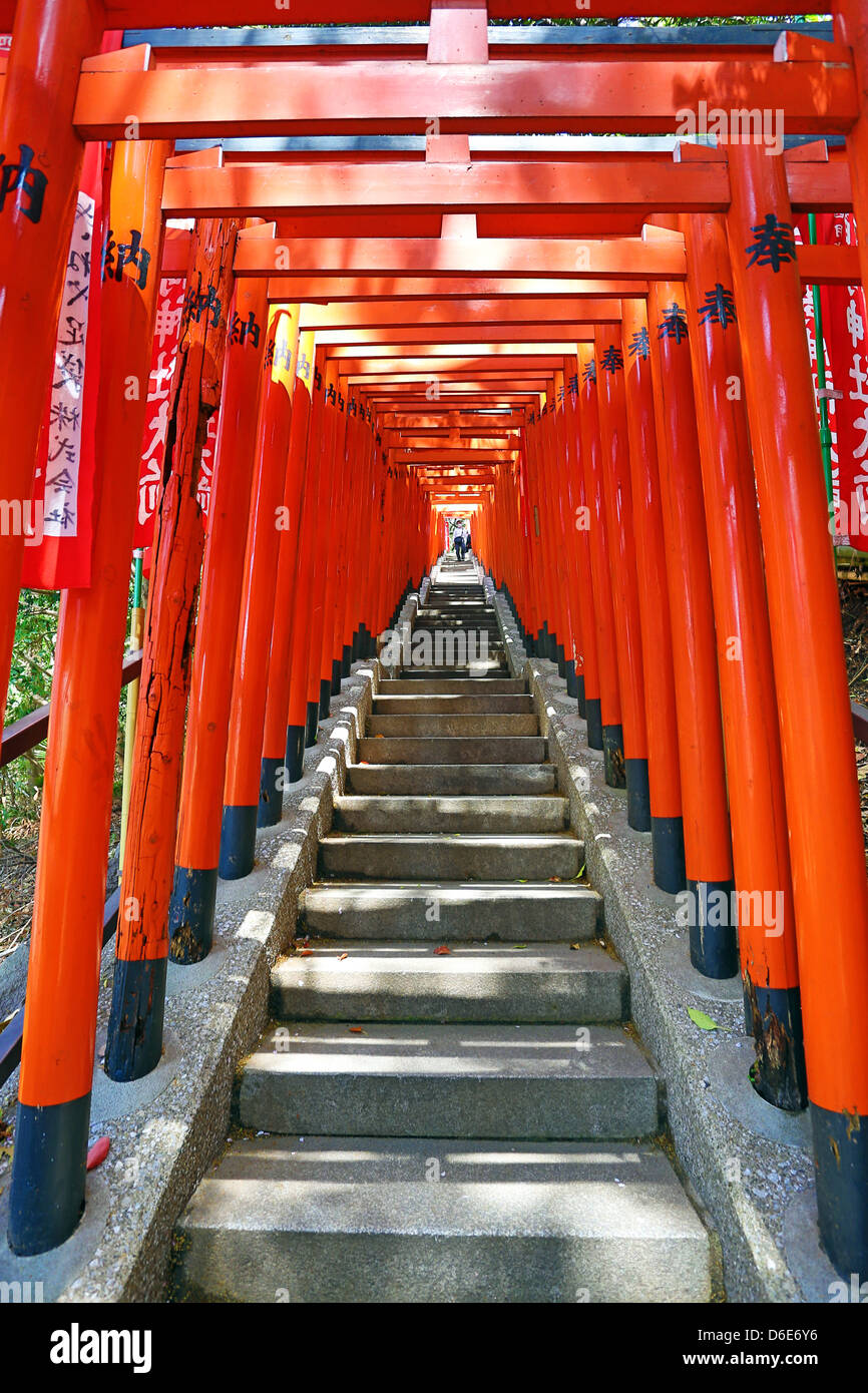 Portes Torii rouge et les étapes de l'entrée du Sanctuaire Shinto Hie ...