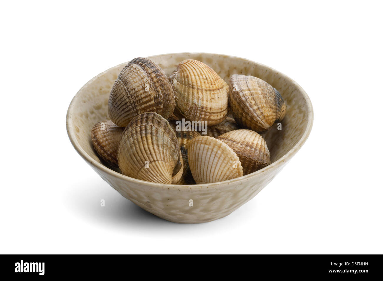 Coquillages et coques Banque d'images détourées - Alamy