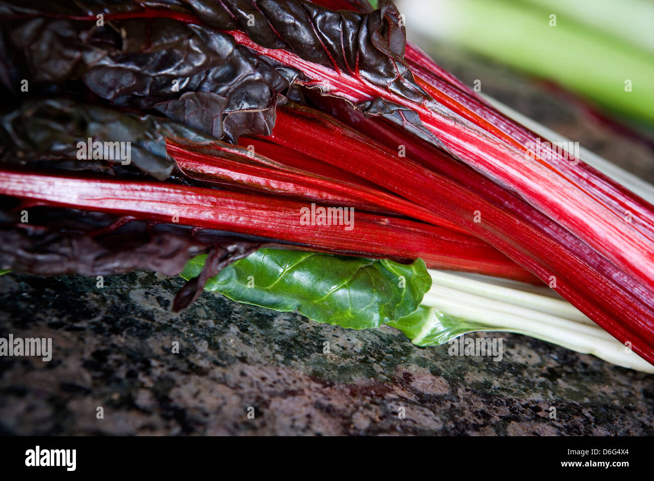 Bette à carde rouge Banque de photographies et d’images à haute ...
