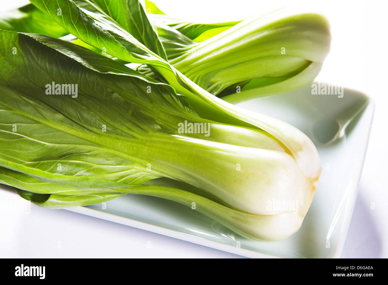 Pac choi Banque de photographies et d’images à haute résolution - Alamy