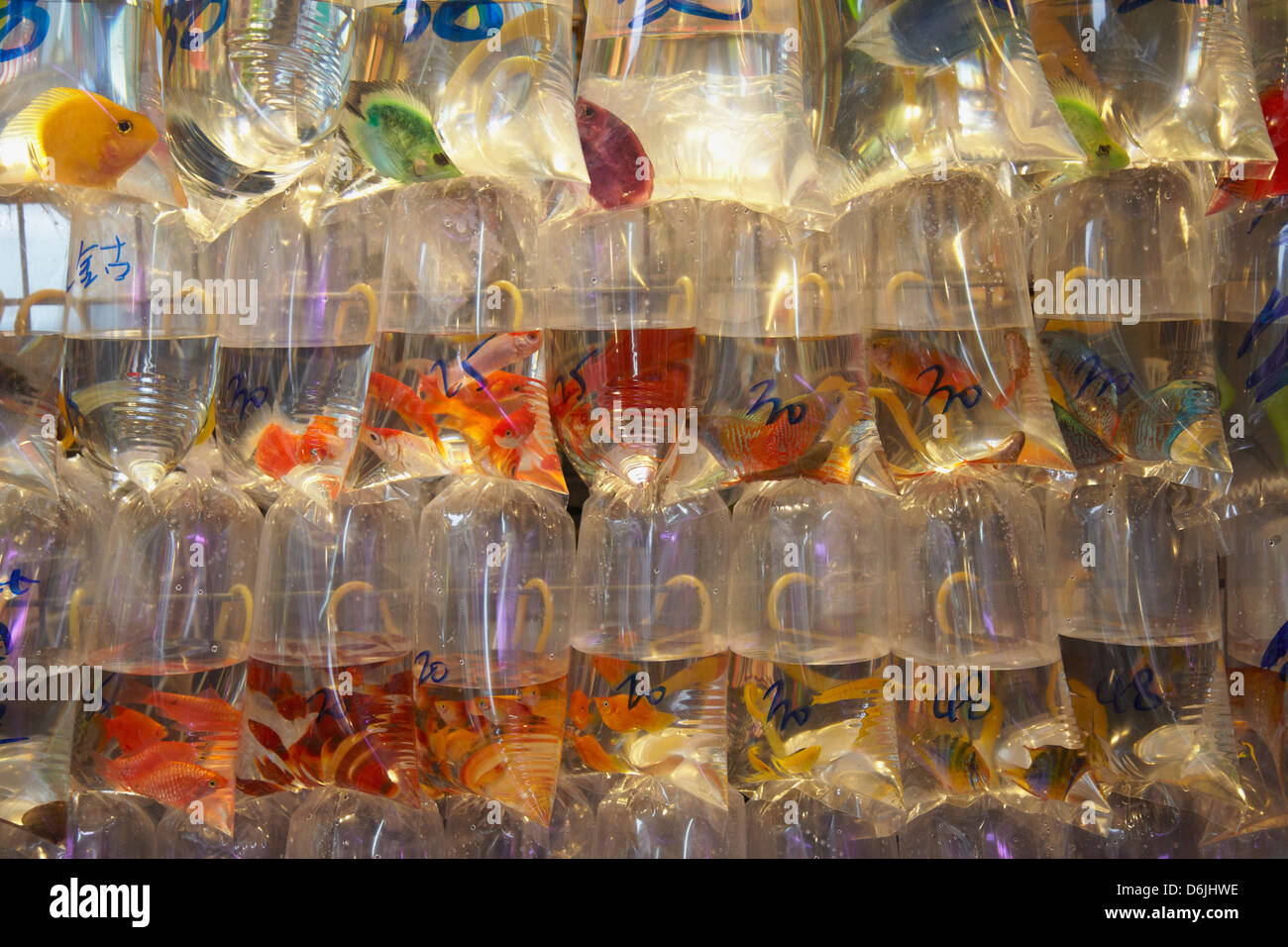 Poisson En Plastique Banque d'image et photos - Alamy