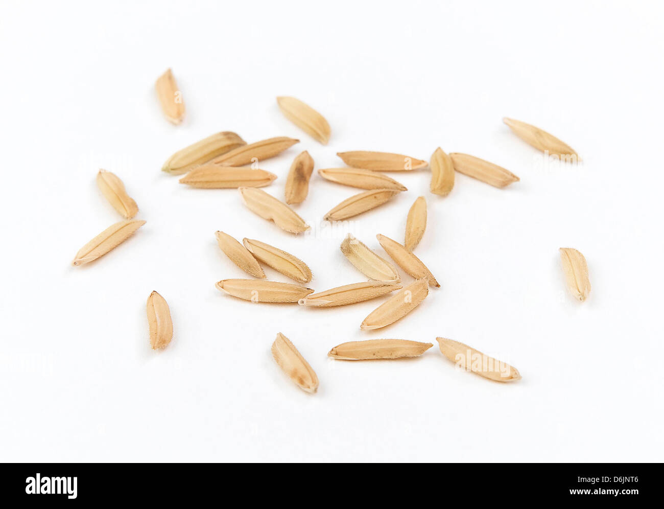 Graine de riz Banque d'images détourées - Alamy