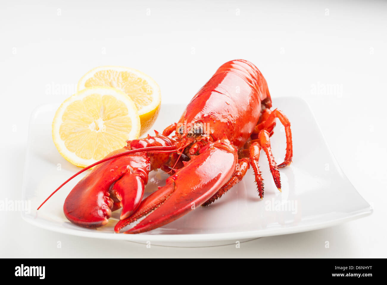 Homard cru Banque de photographies et d’images à haute résolution - Alamy