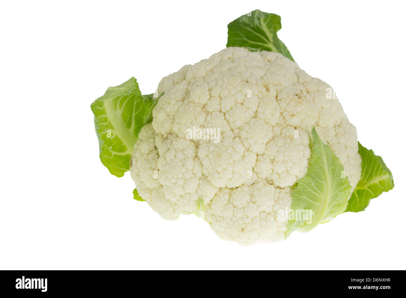Nourriture de chou fleur Banque de photographies et d’images à haute ...