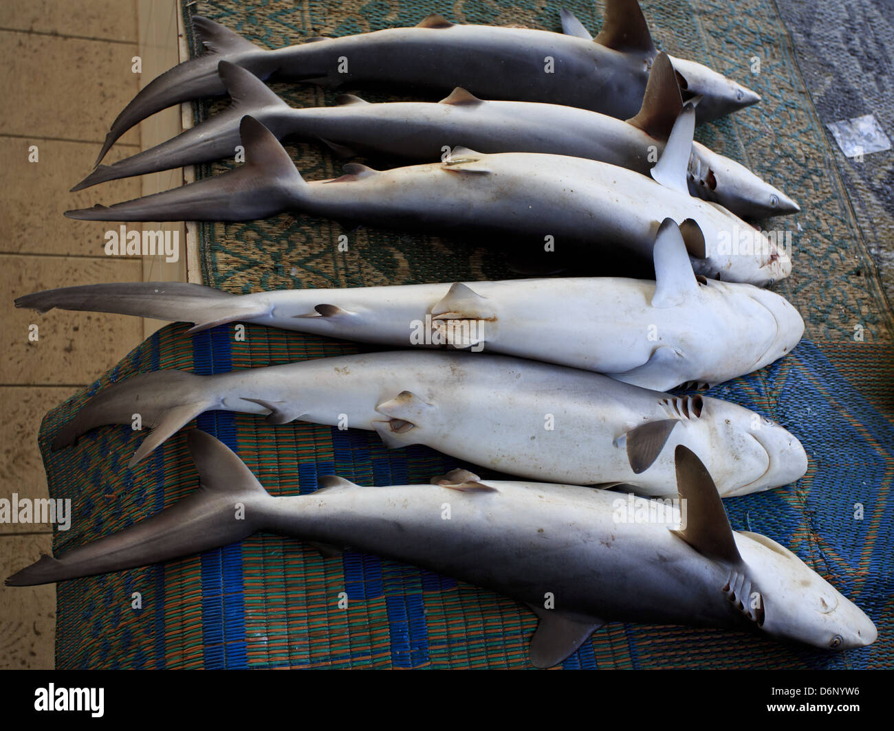 Marché aux poissons de mutrah Banque de photographies et d’images à ...
