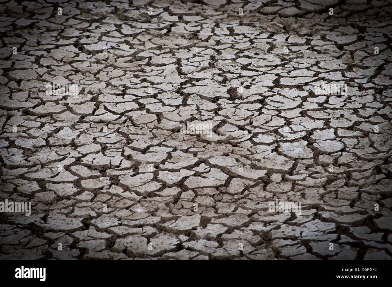 Soil texture Banque de photographies et d’images à haute résolution - Alamy