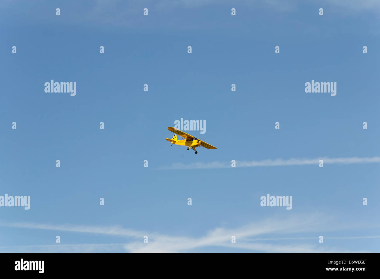 Maxi dauphin Banque de photographies et d’images à haute résolution - Alamy