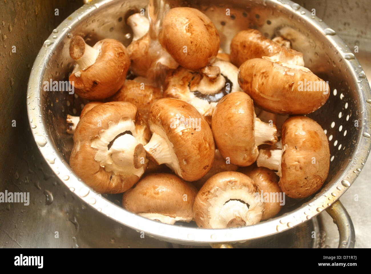 Nettoyage des champignons Banque de photographies et d’images à haute ...