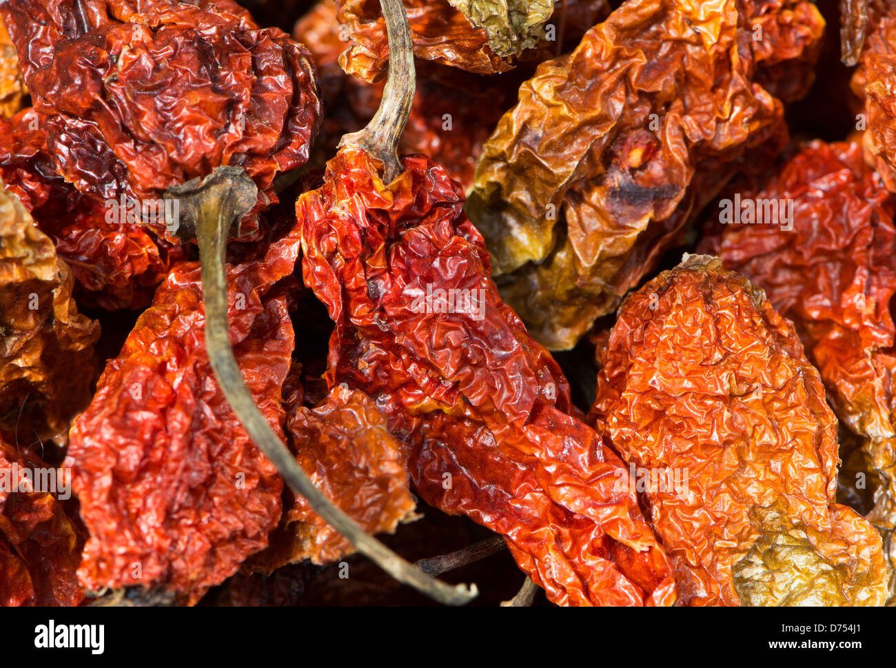 Naga jolokia Banque de photographies et d’images à haute résolution - Alamy