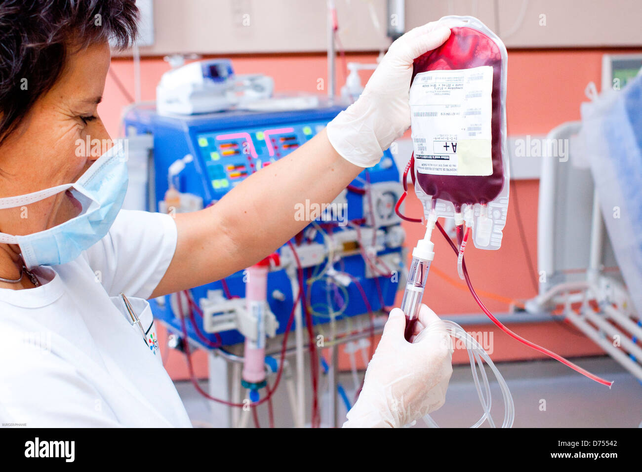La transfusion sanguine au cours de séance d'hémodialyse patients ...