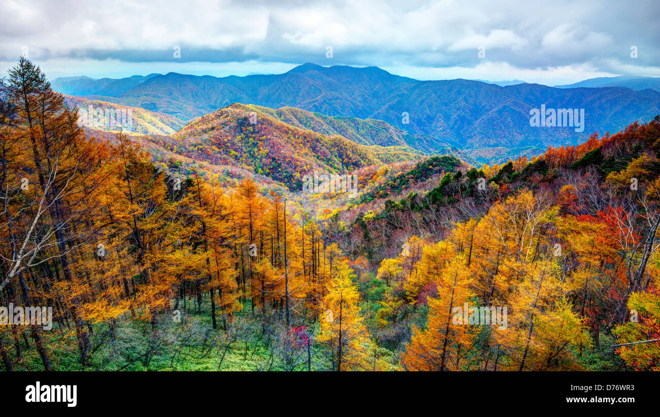 Gamme de montagne dans le parc national de Nikko à Nikko, Tochigi, au ...