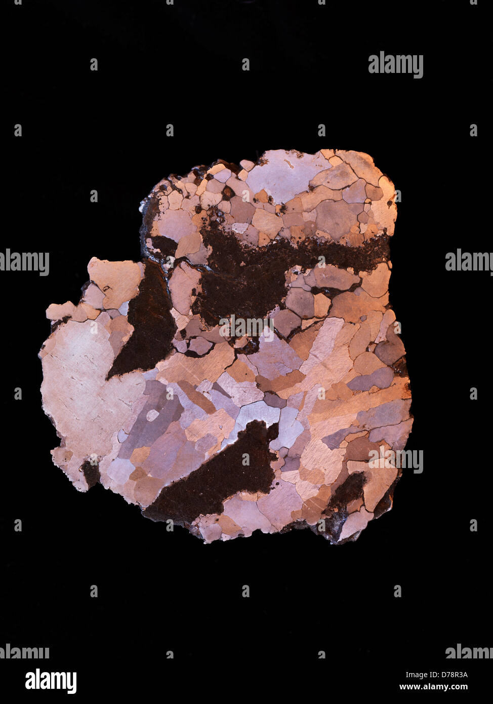 Météorite Campo del Cielo poli gravé coupe pour montrer la structure ...