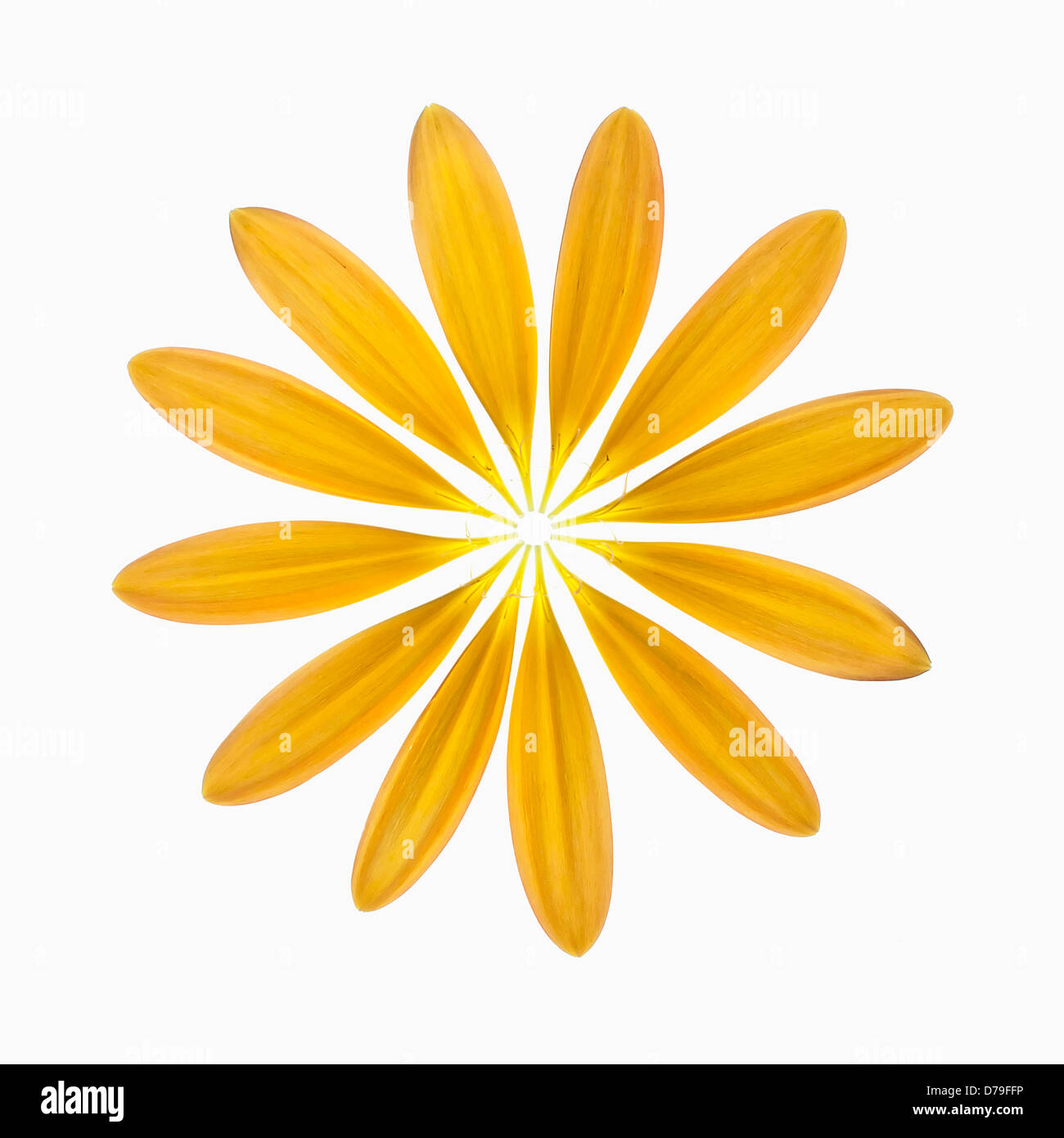 Cercle de fleurs Banque de photographies et d’images à haute résolution ...