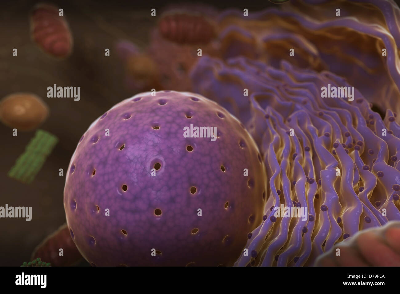 Inner workings Banque de photographies et d’images à haute résolution ...