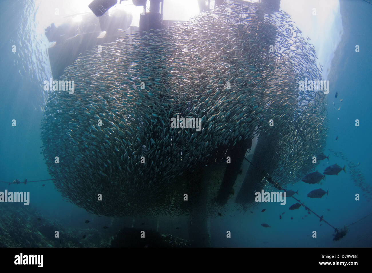 Pearl Farm sous l'île de Tabawan Jetée Photo Stock - Alamy