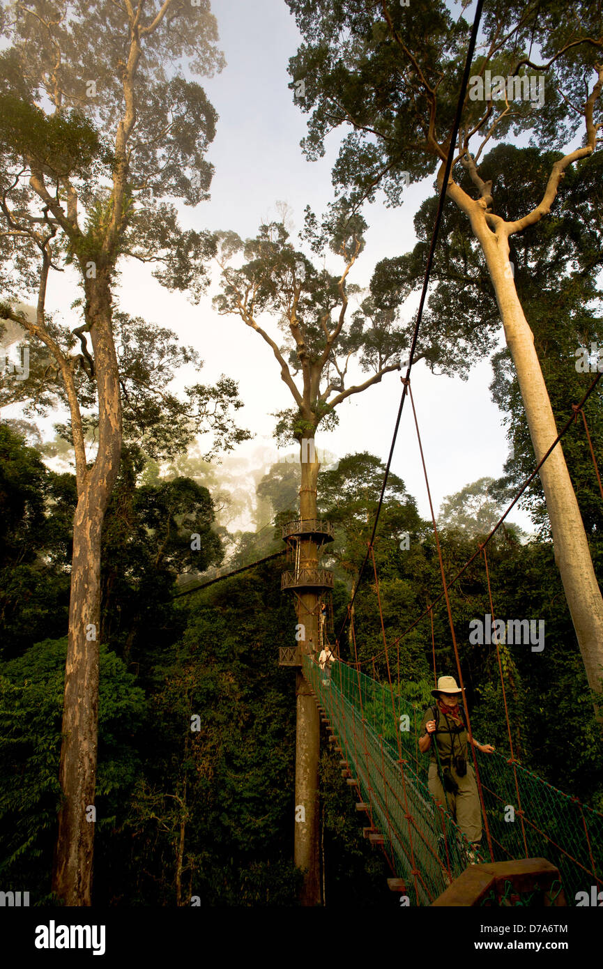 Danum valley bridge Banque de photographies et d’images à haute ...