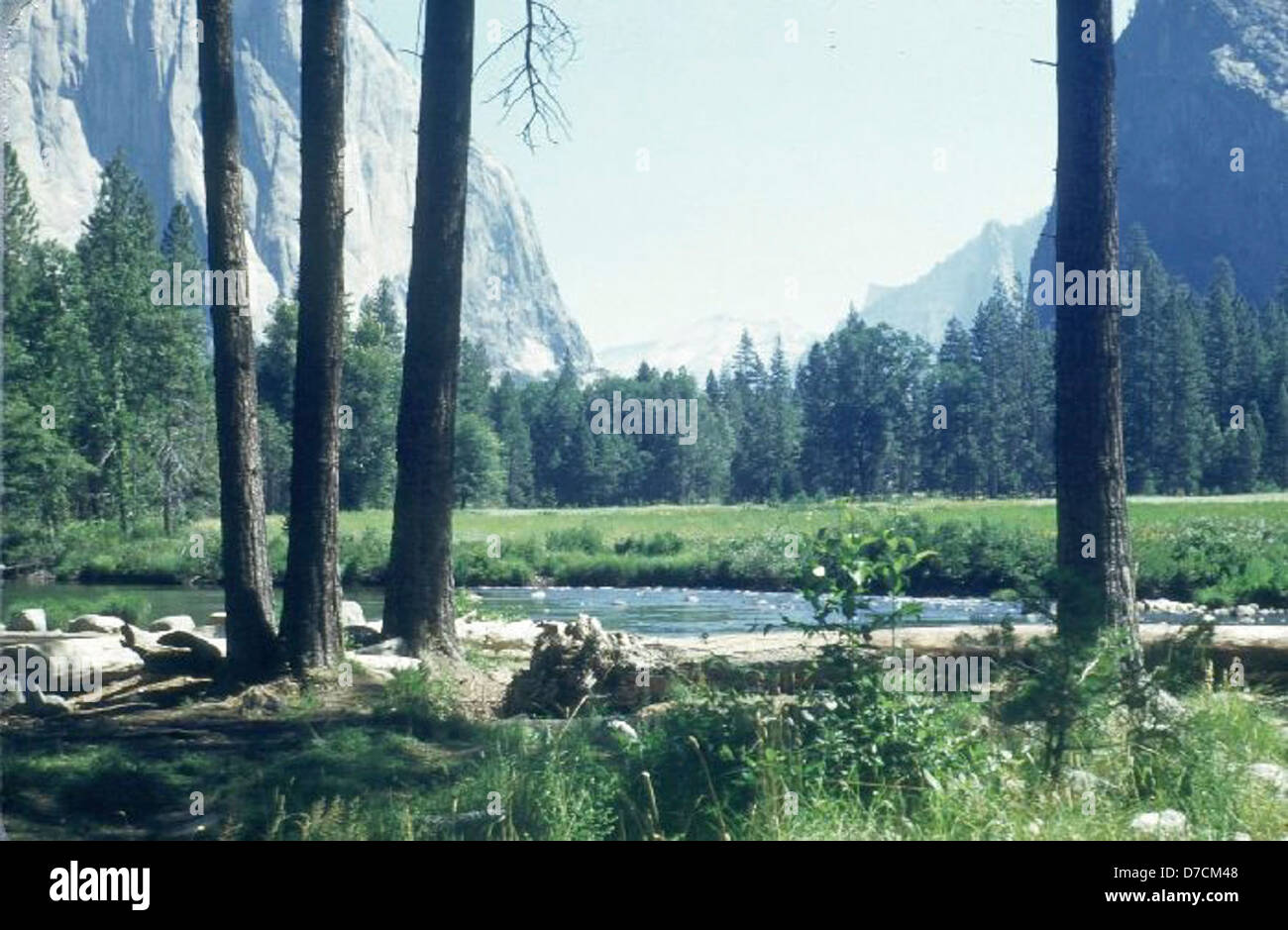 Cette image fait partie de la collection spéciale Jack Canary, avec des ...