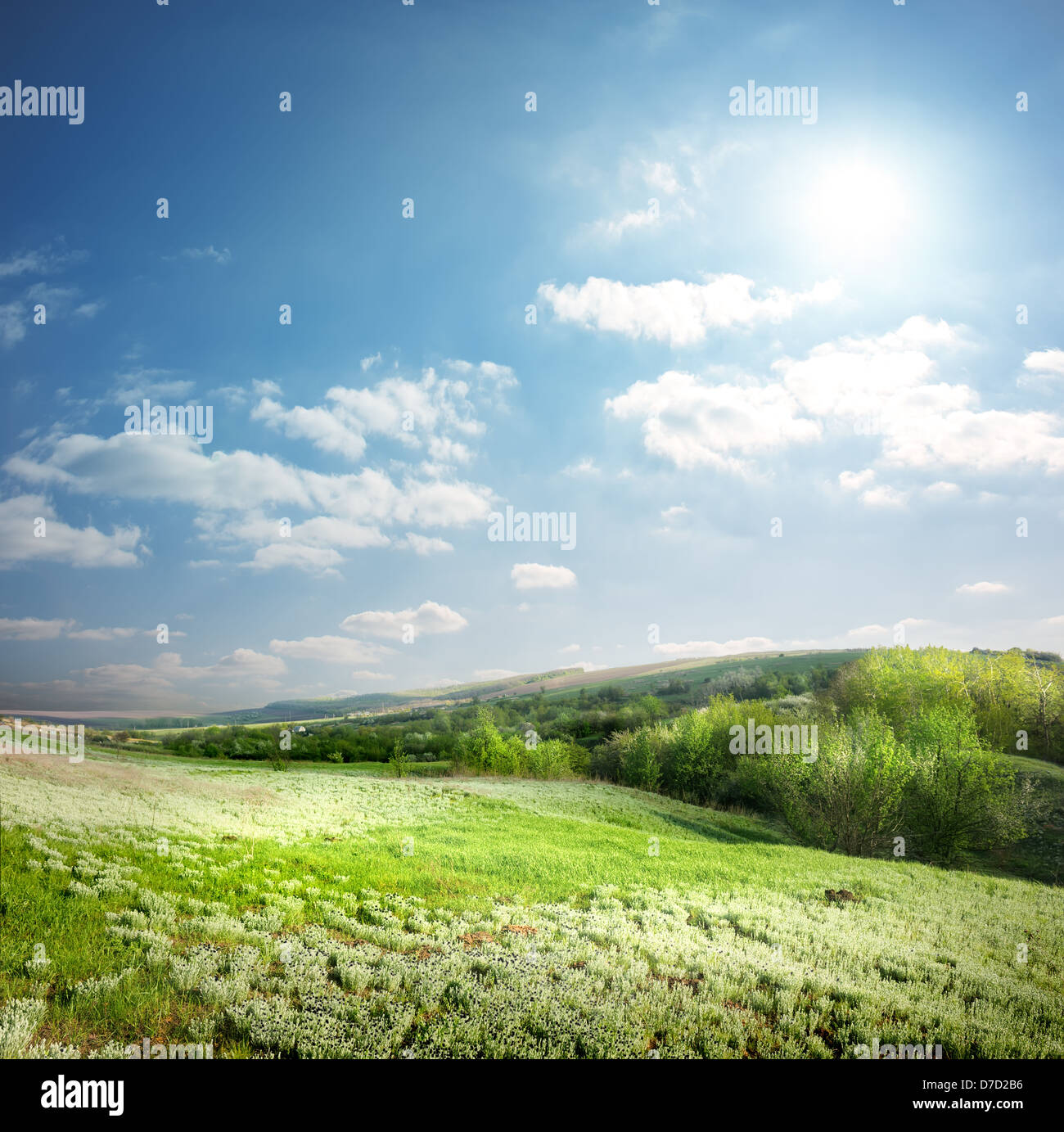 Paysage avec prairie au printemps Banque de photographies et d’images à ...