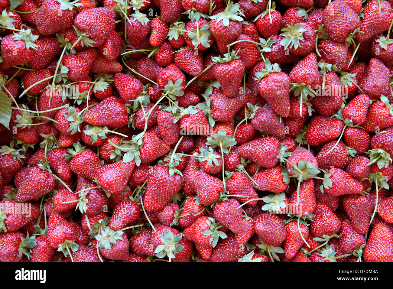 Fond fraise Banque de photographies et d’images à haute résolution - Alamy