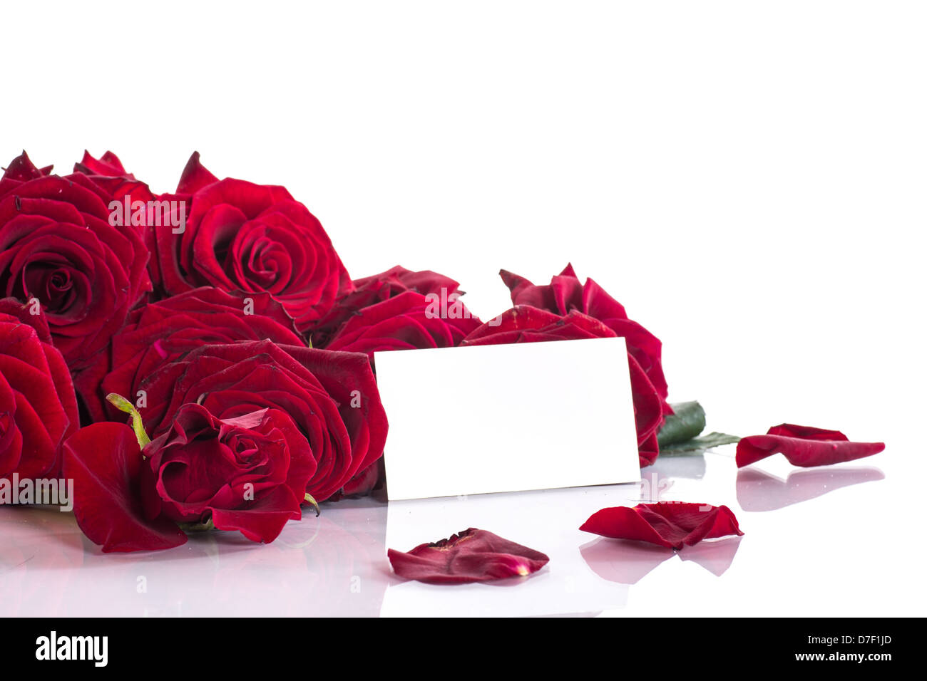 Belles roses rouges Banque de photographies et d’images à haute ...