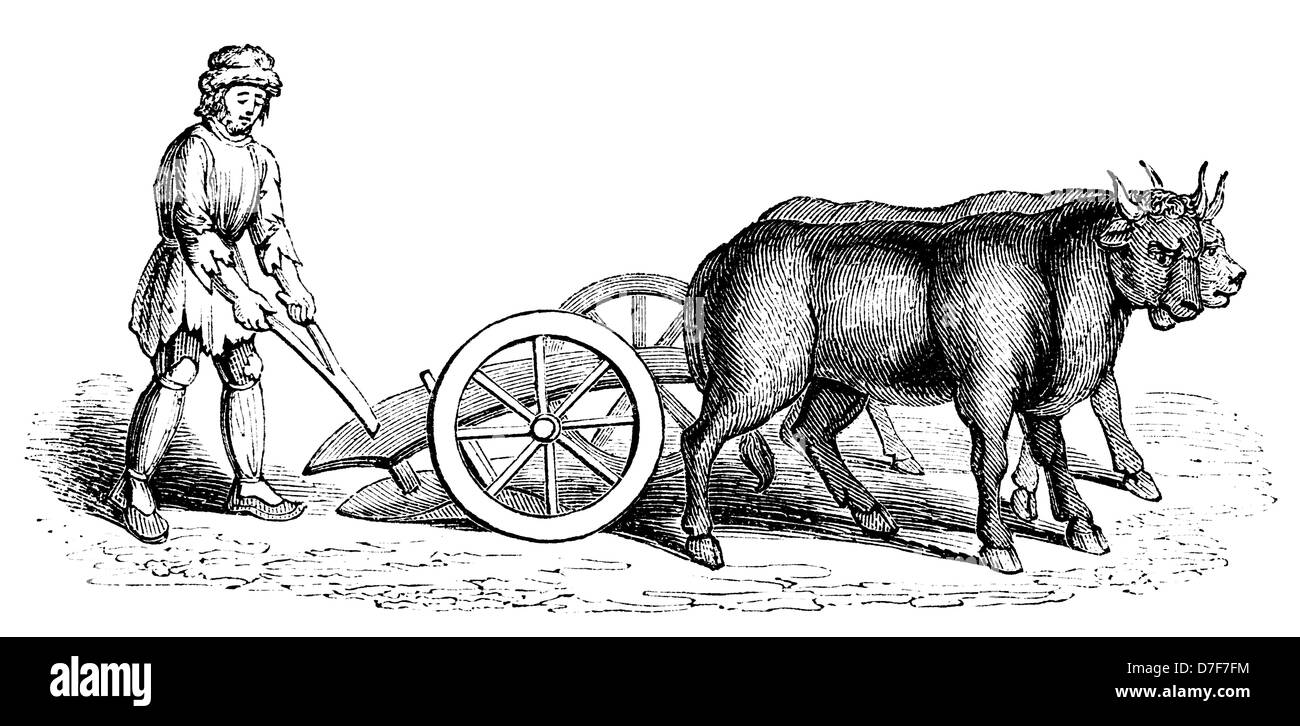 Charrue médiévale Banque de photographies et d’images à haute ...