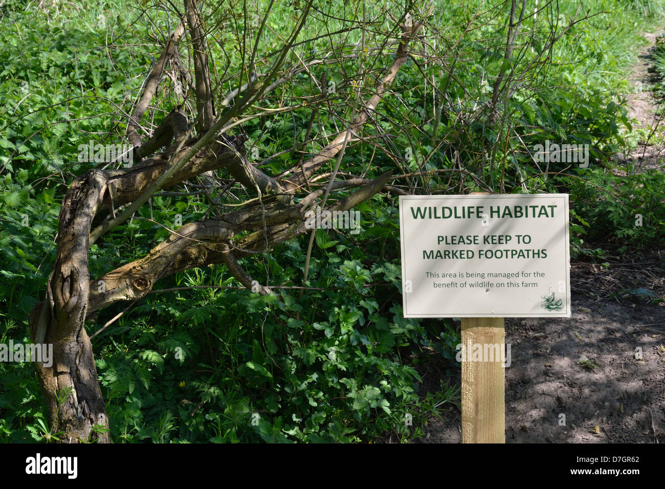Wildlife habitat Banque de photographies et d’images à haute résolution ...