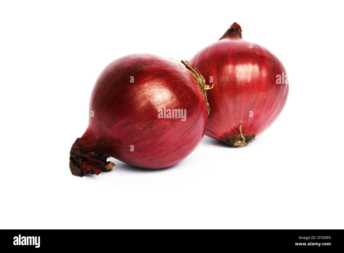 Oignons rouges sur fond blanc Banque de photographies et d’images à ...