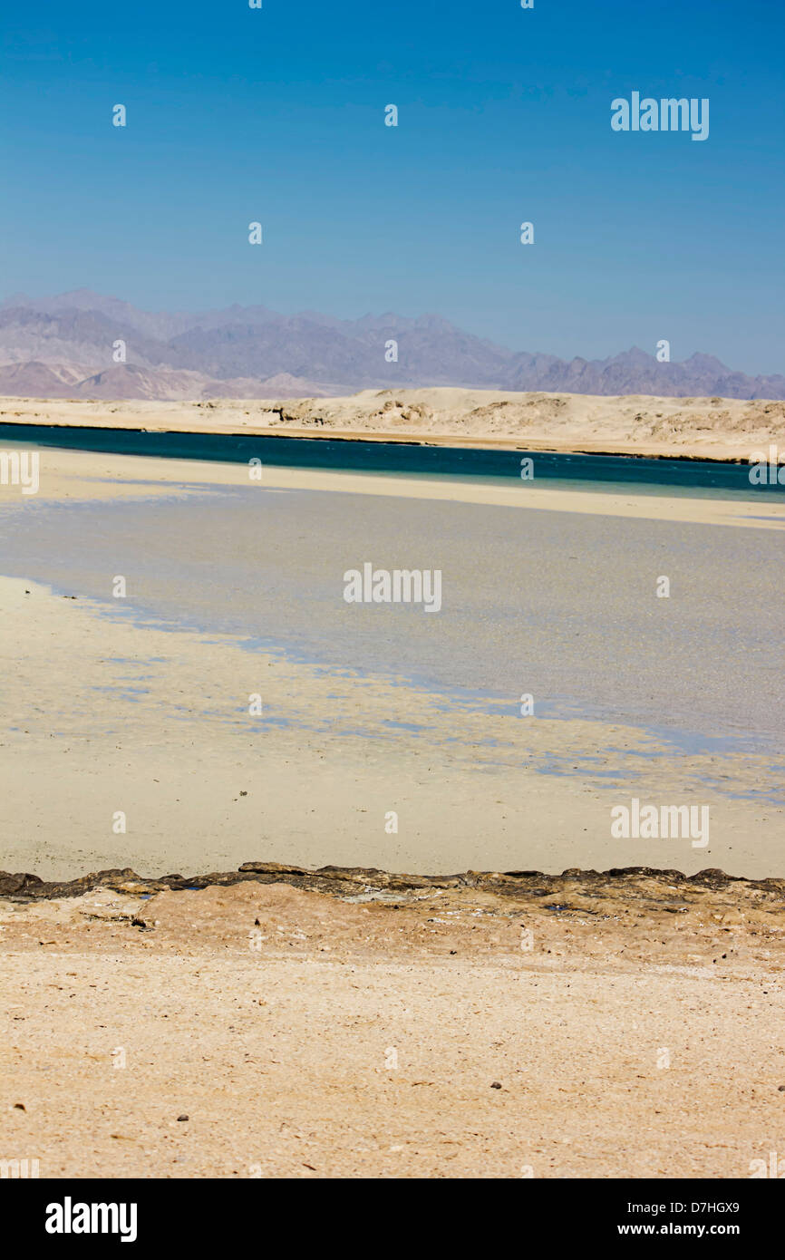 Parc national de ras mohamed Banque de photographies et d’images à ...