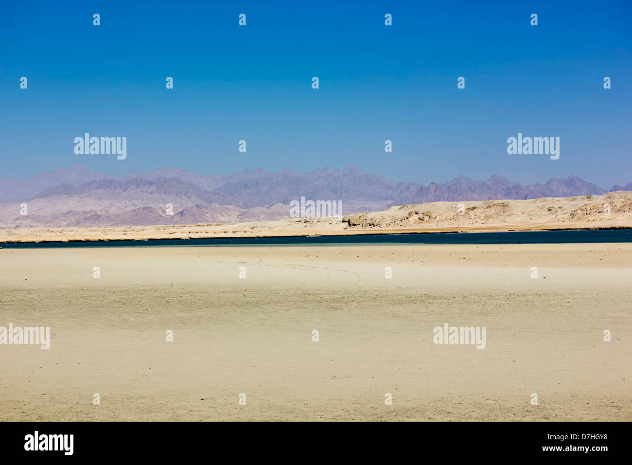 Parc national de ras mohamed Banque de photographies et d’images à ...