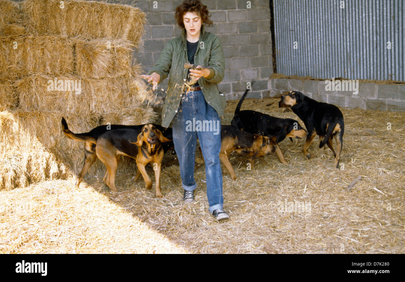 Chiens d'élevage Banque de photographies et d’images à haute résolution ...