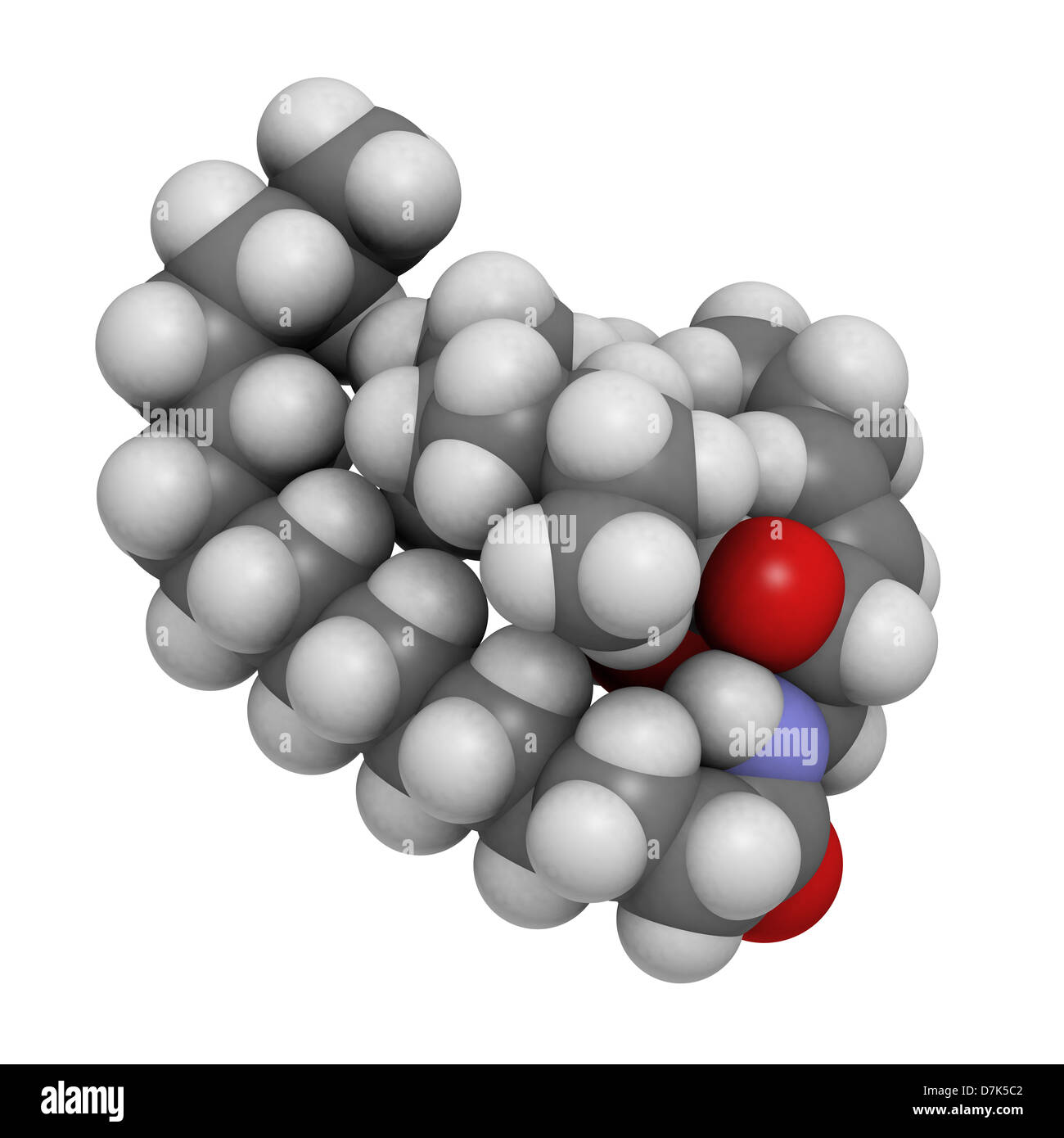 Ceramide lipid molecule Banque de photographies et d’images à haute ...