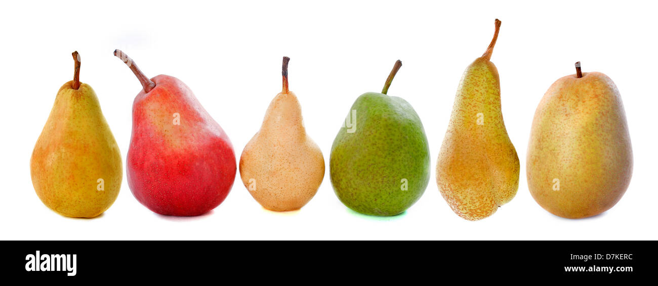 Variétés de poires in front of white background Photo Stock - Alamy