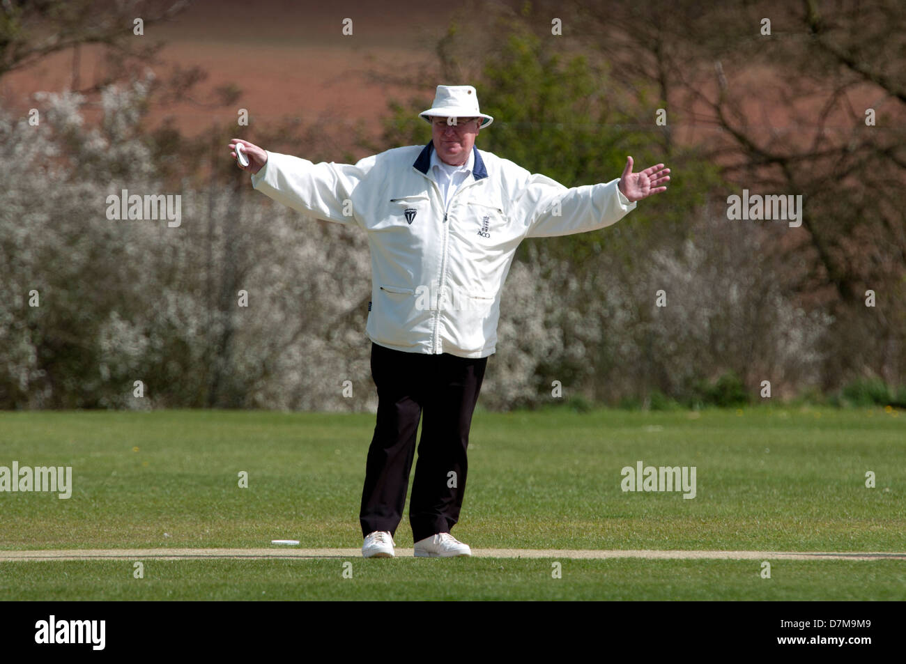 Cricket arbitre Banque de photographies et d’images à haute résolution ...