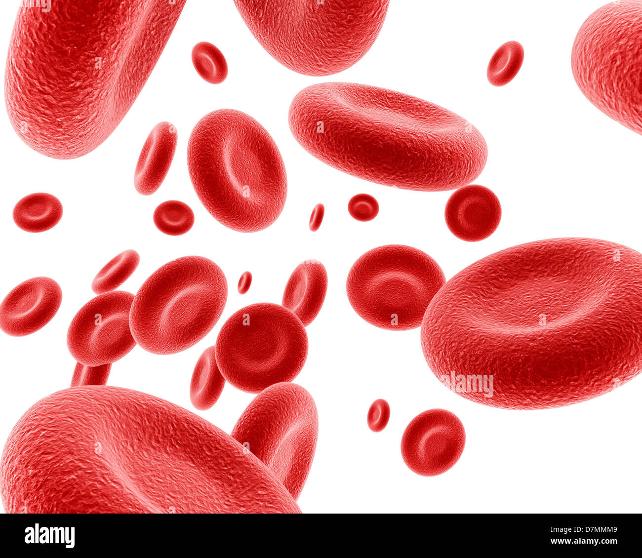 Red globules Banque de photographies et d’images à haute résolution - Alamy