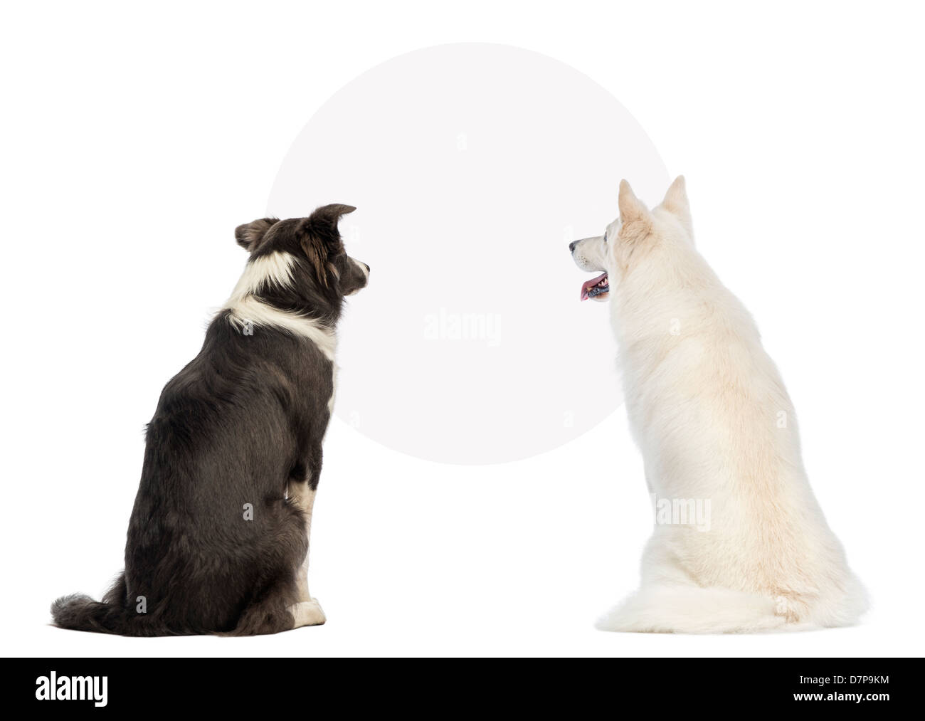 Berger signe Banque de photographies et d’images à haute résolution - Alamy