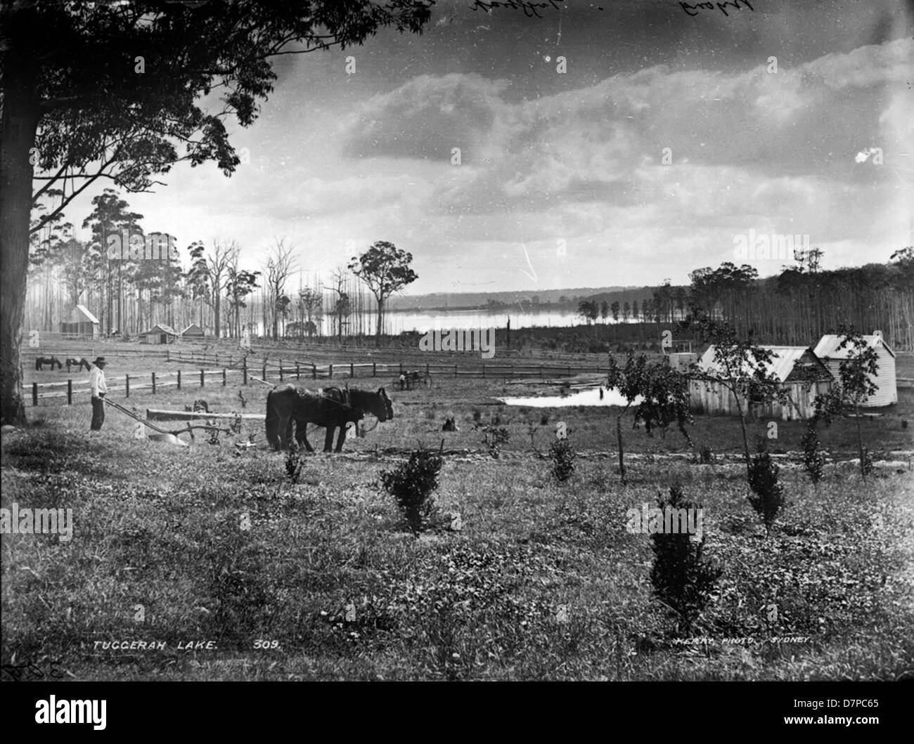 Tuggerah lake Banque de photographies et d’images à haute résolution ...