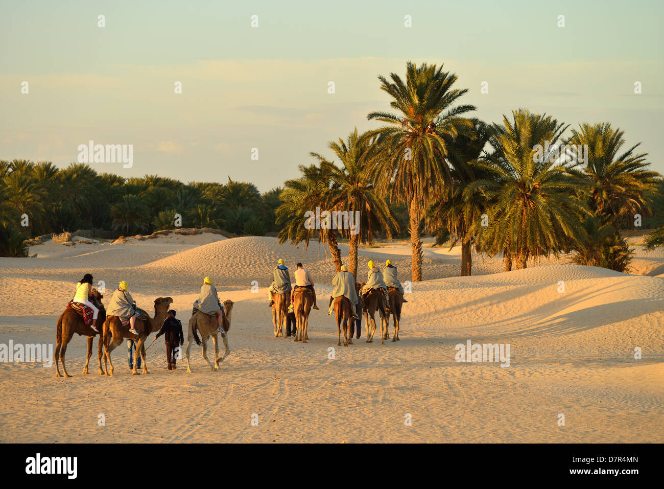 Tunisia douz oasis palms desert Banque de photographies et d’images à ...
