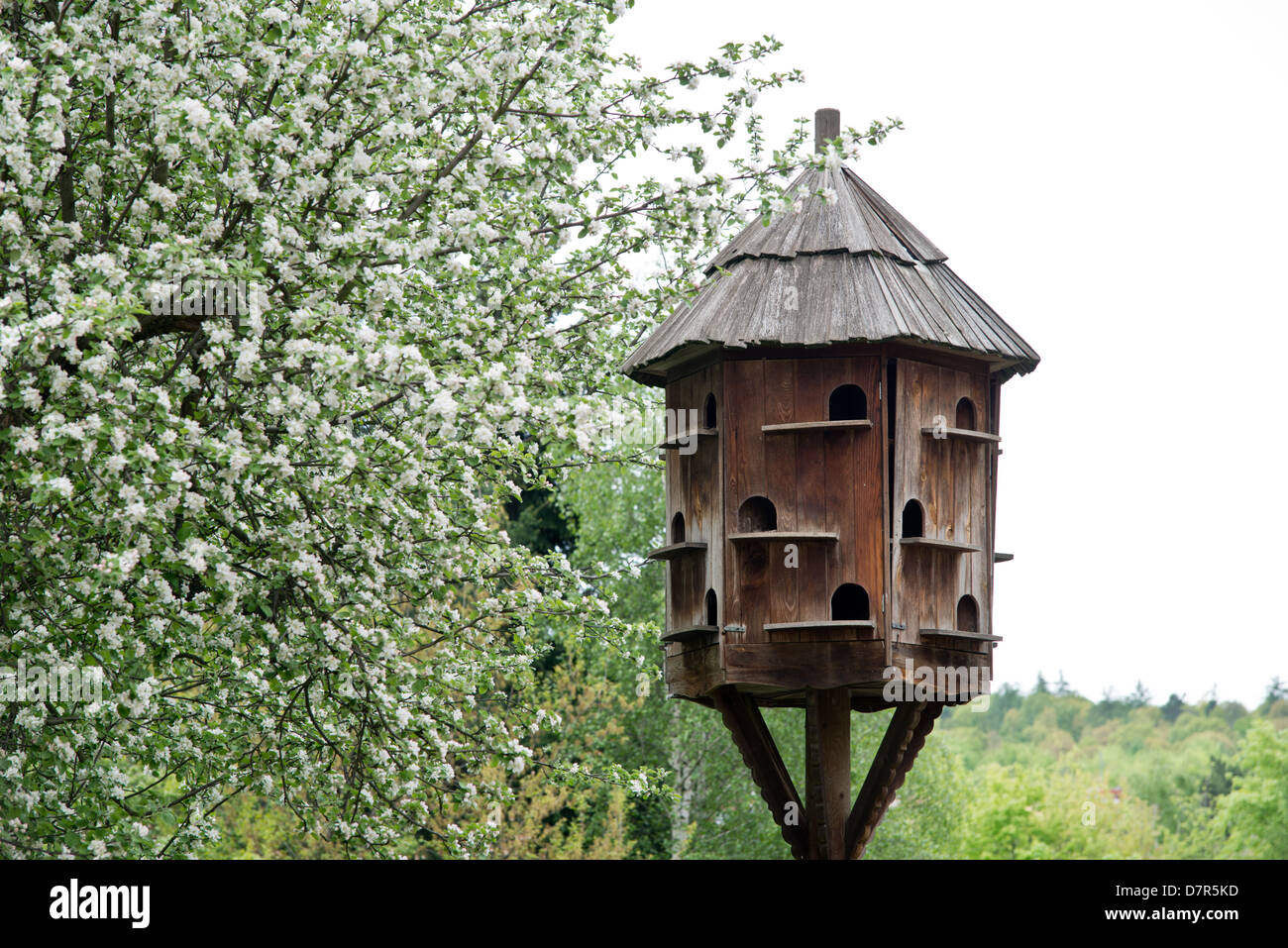 Pigeonnier en bois Banque de photographies et d’images à haute ...