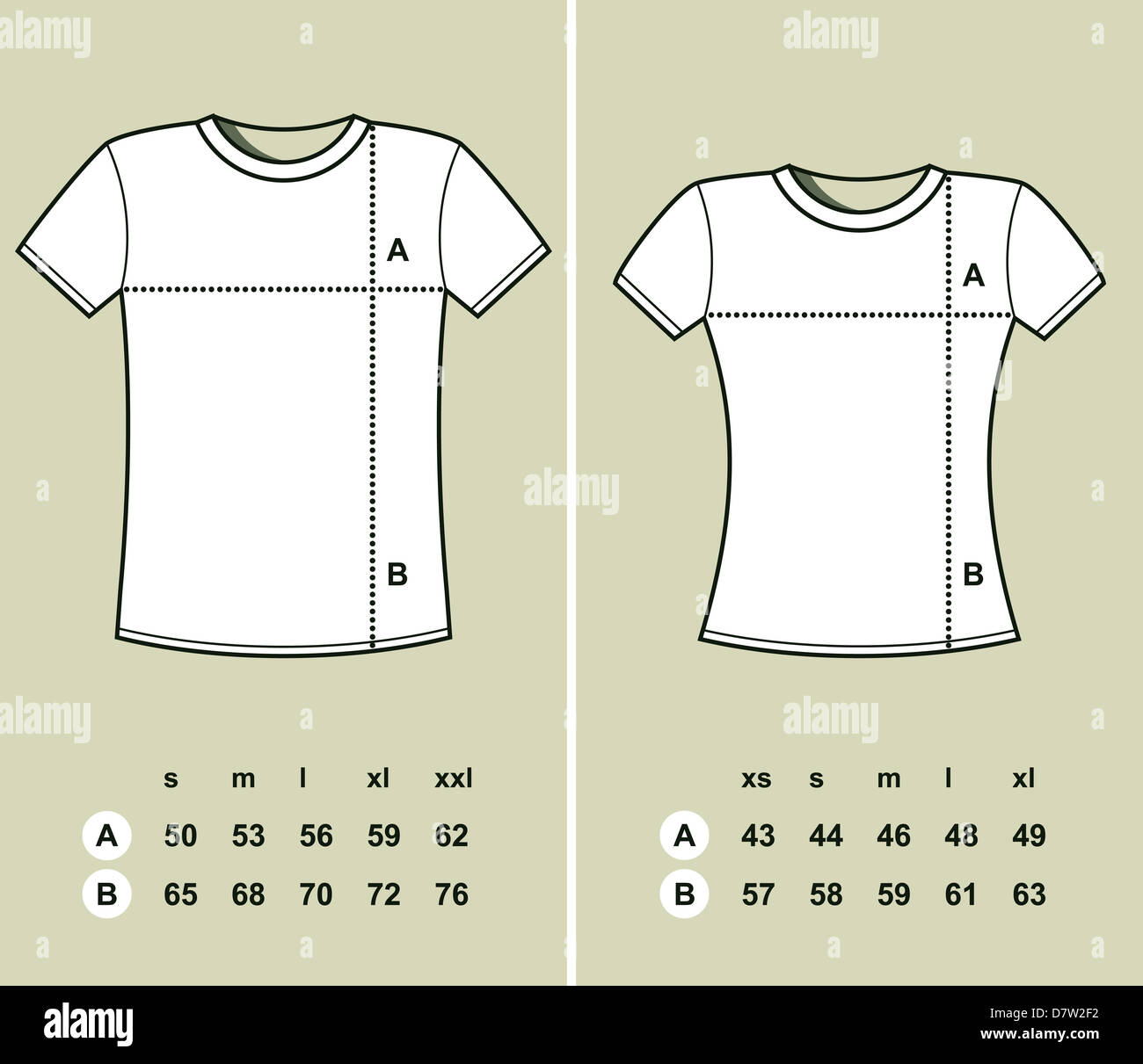 Tableau des tailles de conception de t shirt Banque de photographies et d’images à haute ...