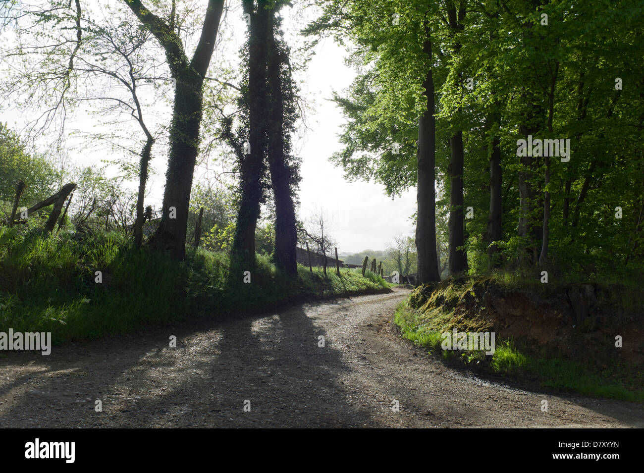 Voie de campagne rural france Banque de photographies et d’images à ...