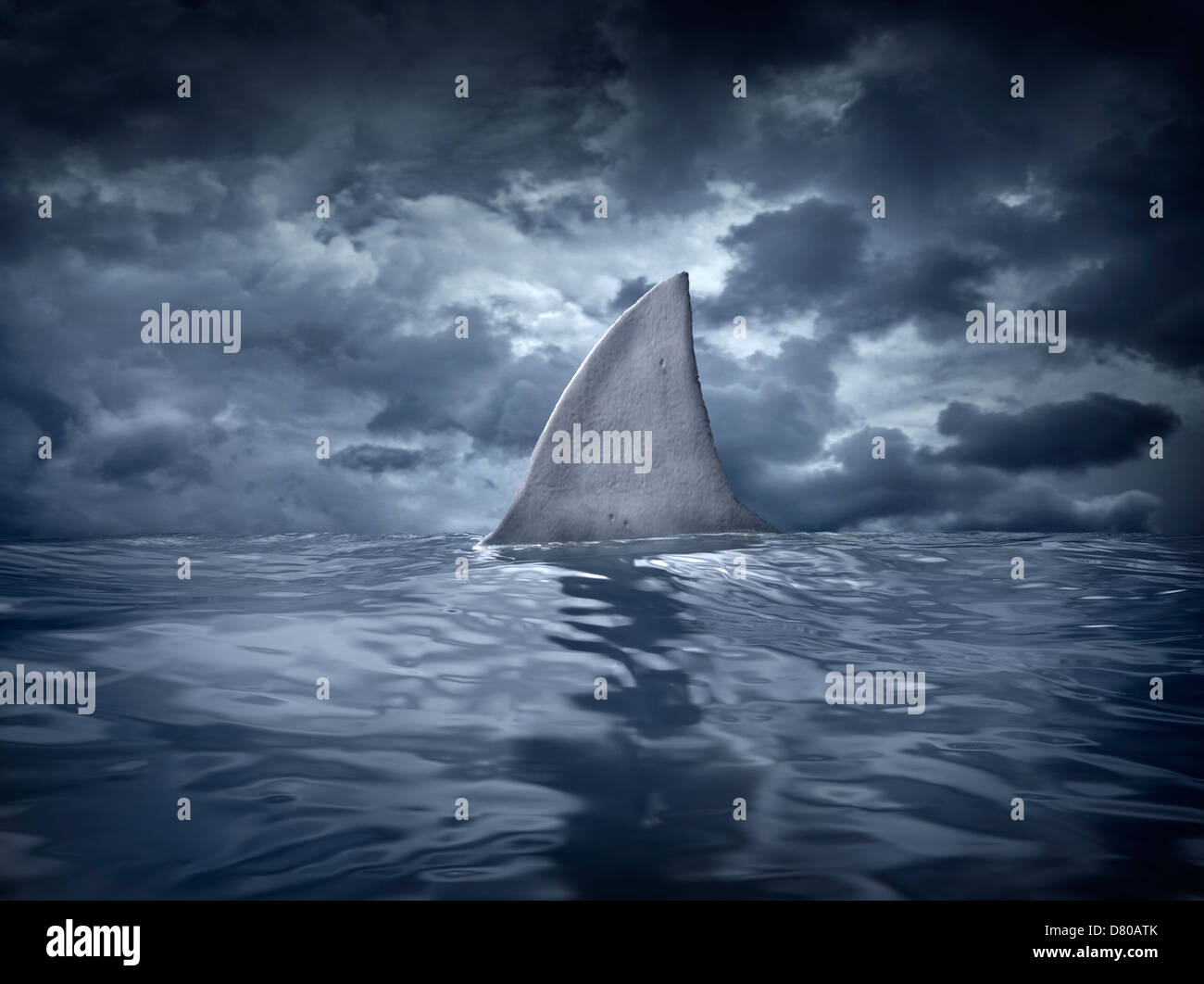 Shark fins Banque de photographies et d’images à haute résolution - Alamy