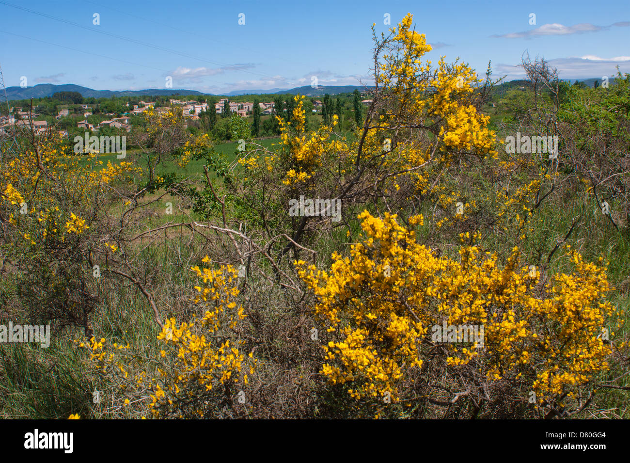 Genet france Banque de photographies et d’images à haute résolution - Alamy